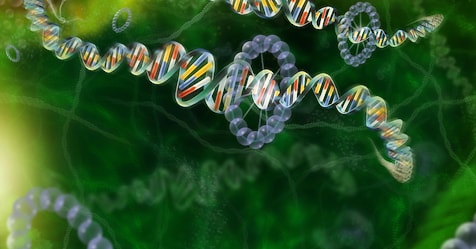 Pronta la mappa dell'attività dei geni, 'sinfonia' del Dna - Rai News