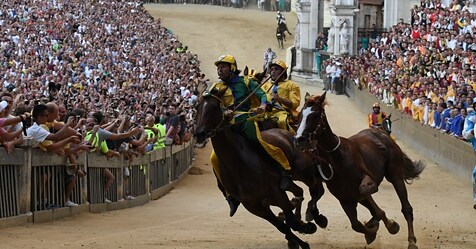 La Contrada della Selva vince il Palio dell'Assunta - Rai News