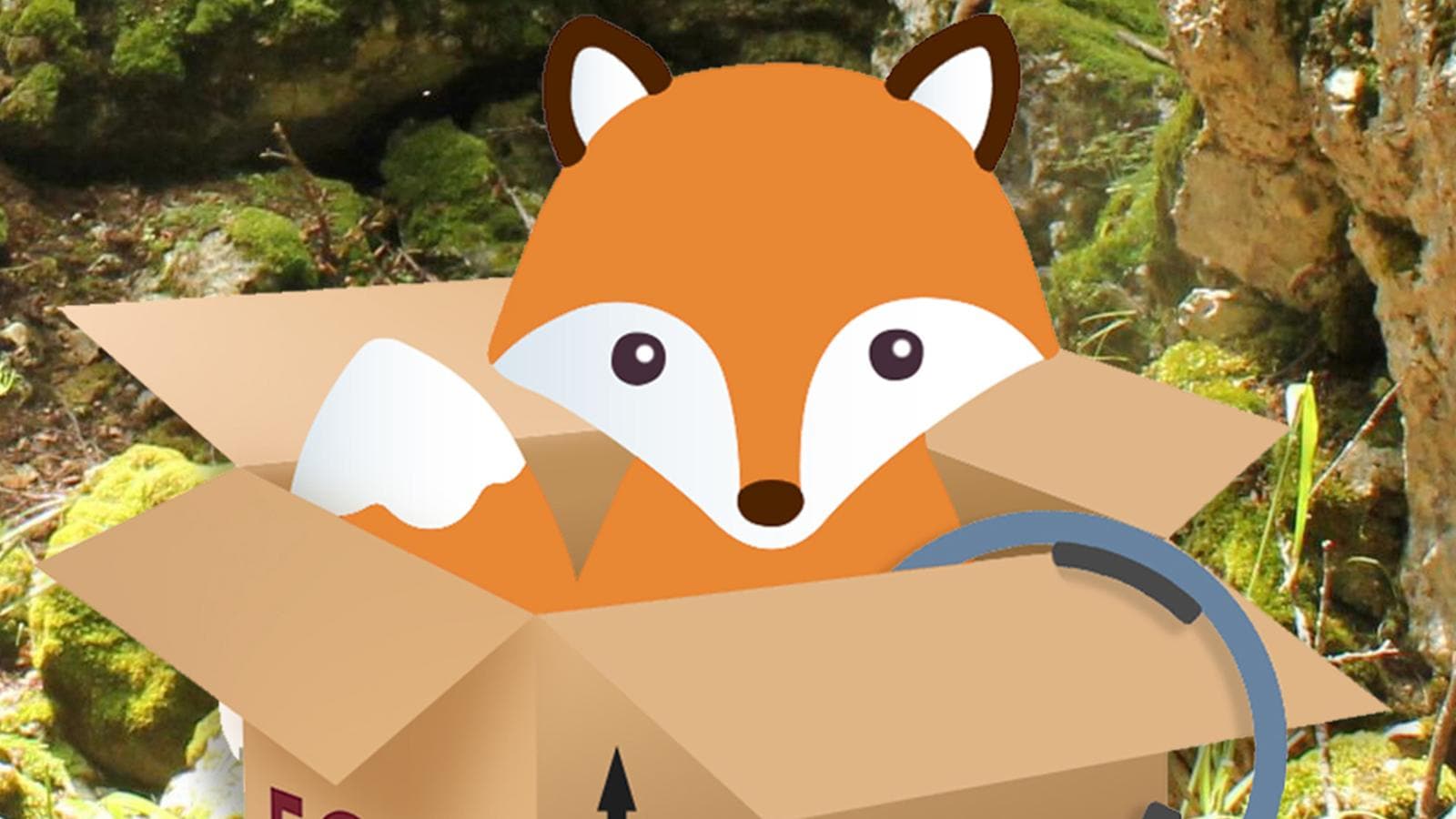Fox in Box - RAI Ufficio Stampa