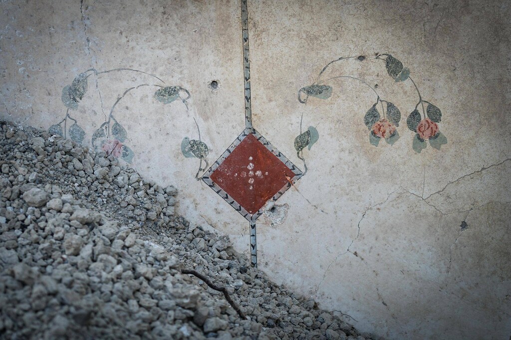 Pompei, i misteriosi mosaici dei pavimenti svelano l'arte degli antichi ...