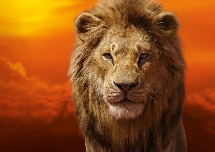 'Il re leone', il capolavoro Disney al cinema - photogallery - Rai News