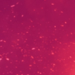 Rai 2 - La diretta in streaming video su RaiPlay